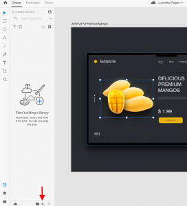 Exploring Adobe Express import and export options - Magicul Blog